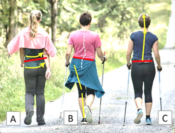 Keeping the Joy in Walking – Heartwood
